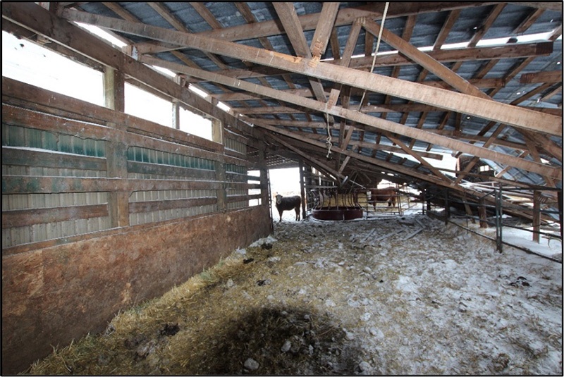 Exploring Wood-Framed Roof Collapses: Causation & Identifying…