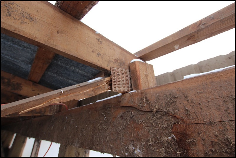Exploring Wood-Framed Roof Collapses: Causation & Identifying…
