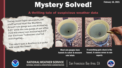 Weather Reports & Insurance Claims: Finding a Trustworthy Source