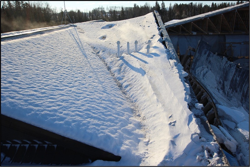 Exploring Wood-Framed Roof Collapses: Causation & Identifying…